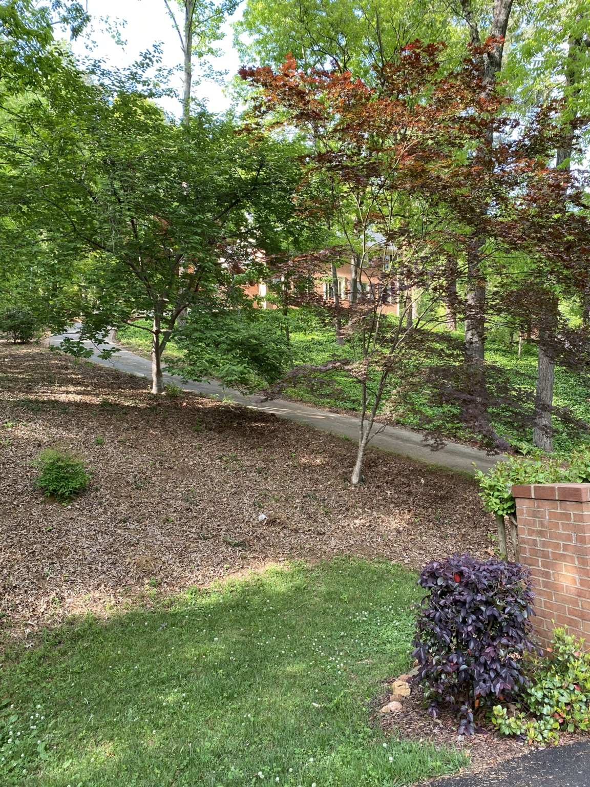 Creating Our Home’s First Landscaped Area - Sincerely, Marie Designs