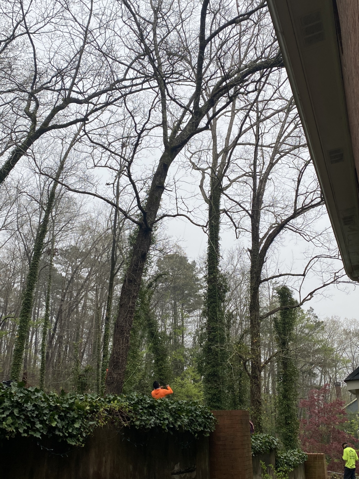 Creating Our Home’s First Landscaped Area - Sincerely, Marie Designs