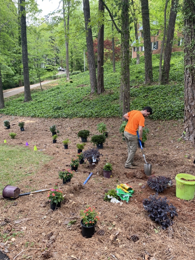 Creating Our Home’s First Landscaped Area - Sincerely, Marie Designs